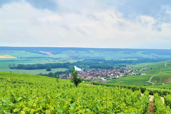 Top Things to Do in Colmar, France - Short Girl On Tour