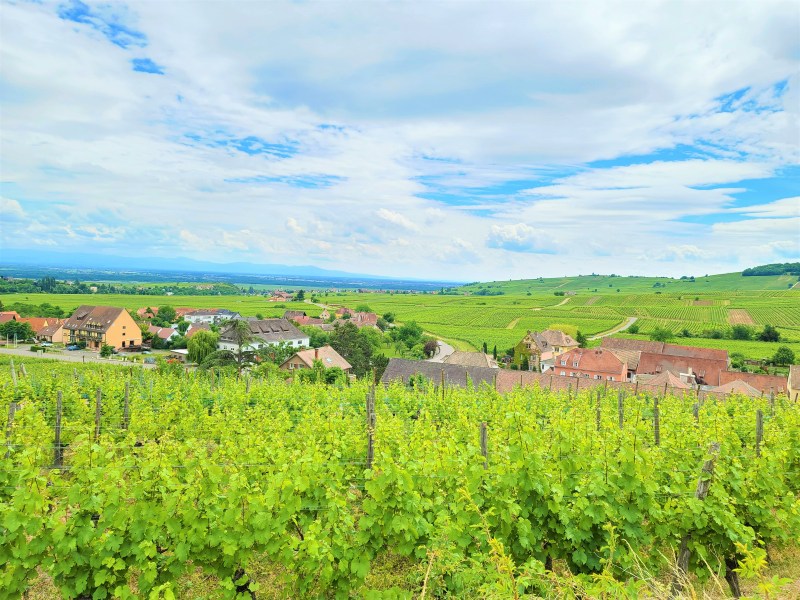 Itinerary for 3 Days on the Alsace Wine Route + Travel Guide - SHORT ...