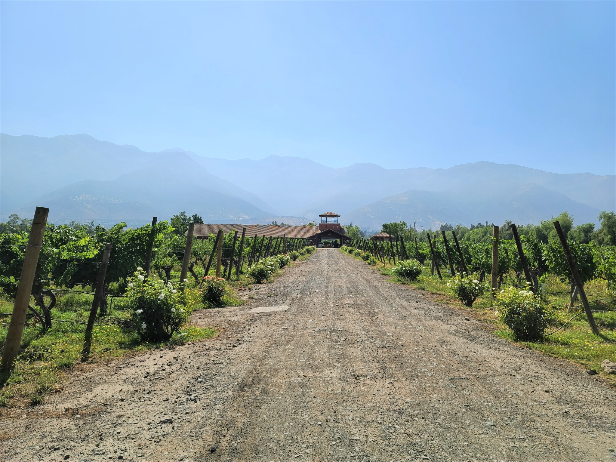 Best Wineries in the Maipo Valley, Chile - SHORT GIRL ON TOUR