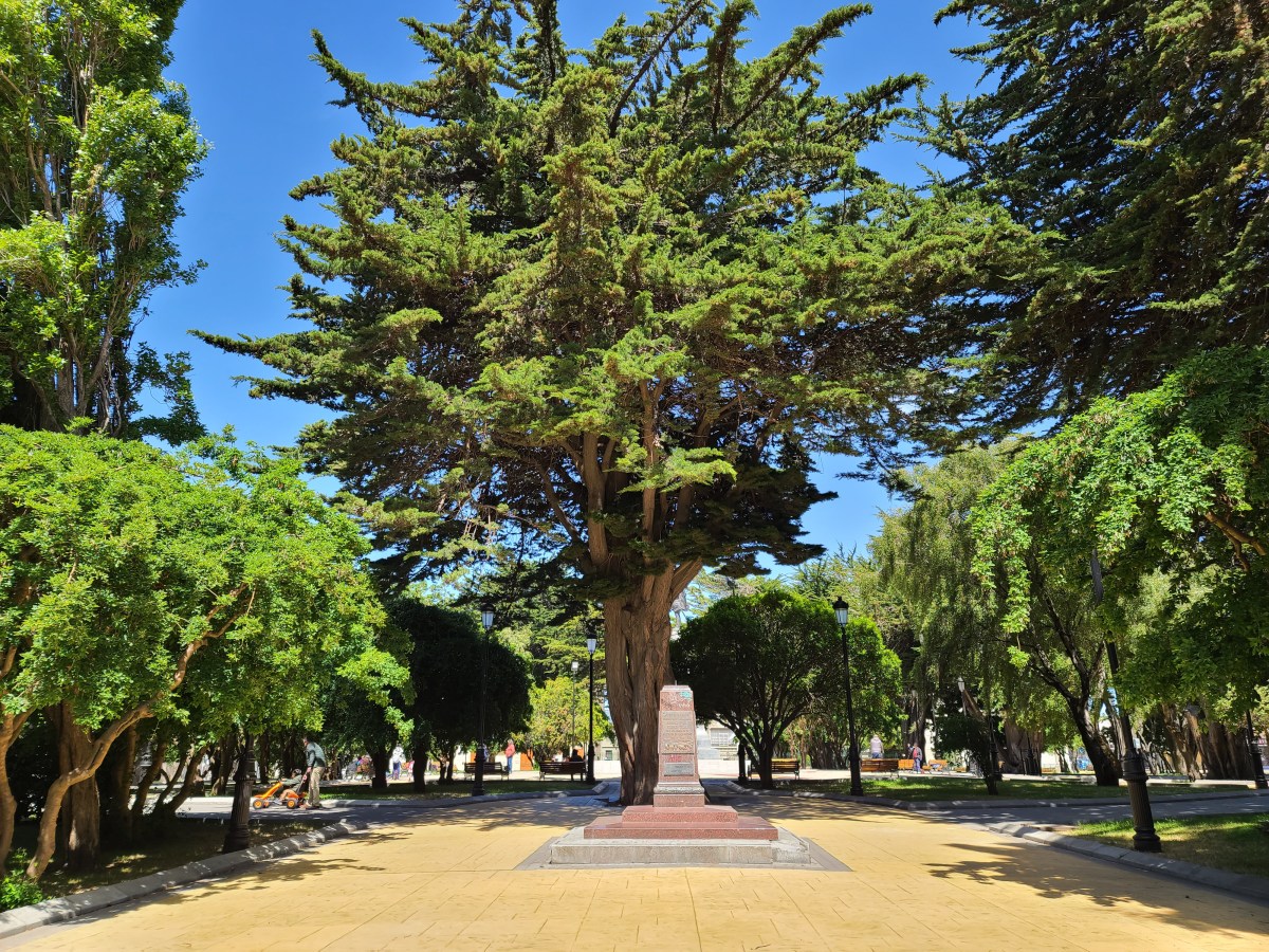 Things to Do in Punta Arenas in One Day - SHORT GIRL ON TOUR