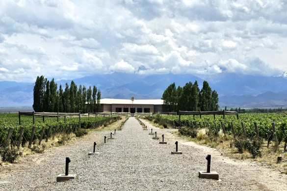 Things to Do in Punta Arenas in One Day - SHORT GIRL ON TOUR