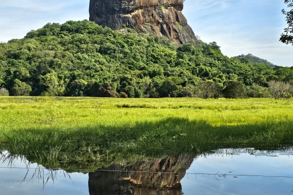 2 Days in Rotorua - New Zealand - SHORT GIRL ON TOUR